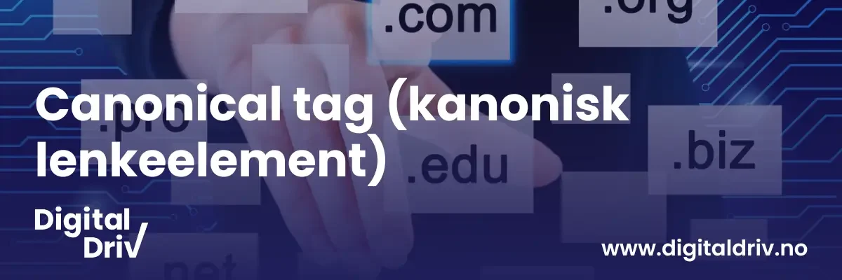 Canonical tag - Hva er det? - Digital Driv